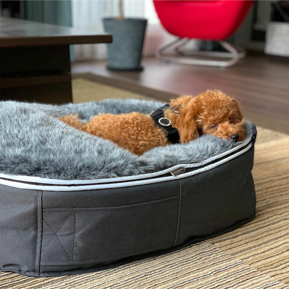 Small Dog Beds | Luxury Small Dog Beds with Removable Covers – Ambient ...